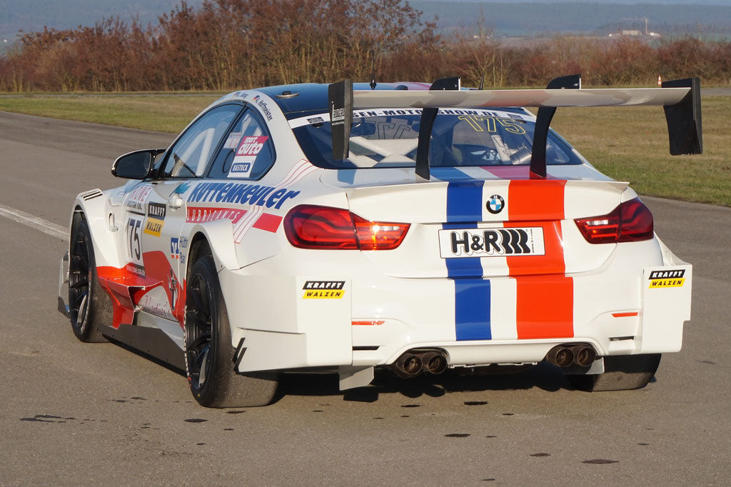 Floßmann - Rear Wing DTM | Royal Body Kits