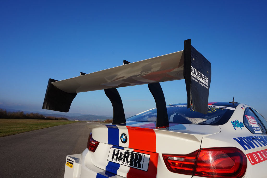 Floßmann - Rear Wing DTM | Royal Body Kits